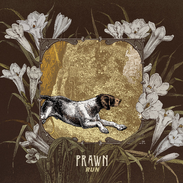 Topshelf Records - Prawn - Run