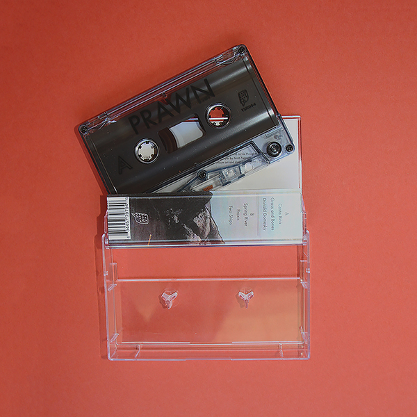 Topshelf Records - Prawn - Ships