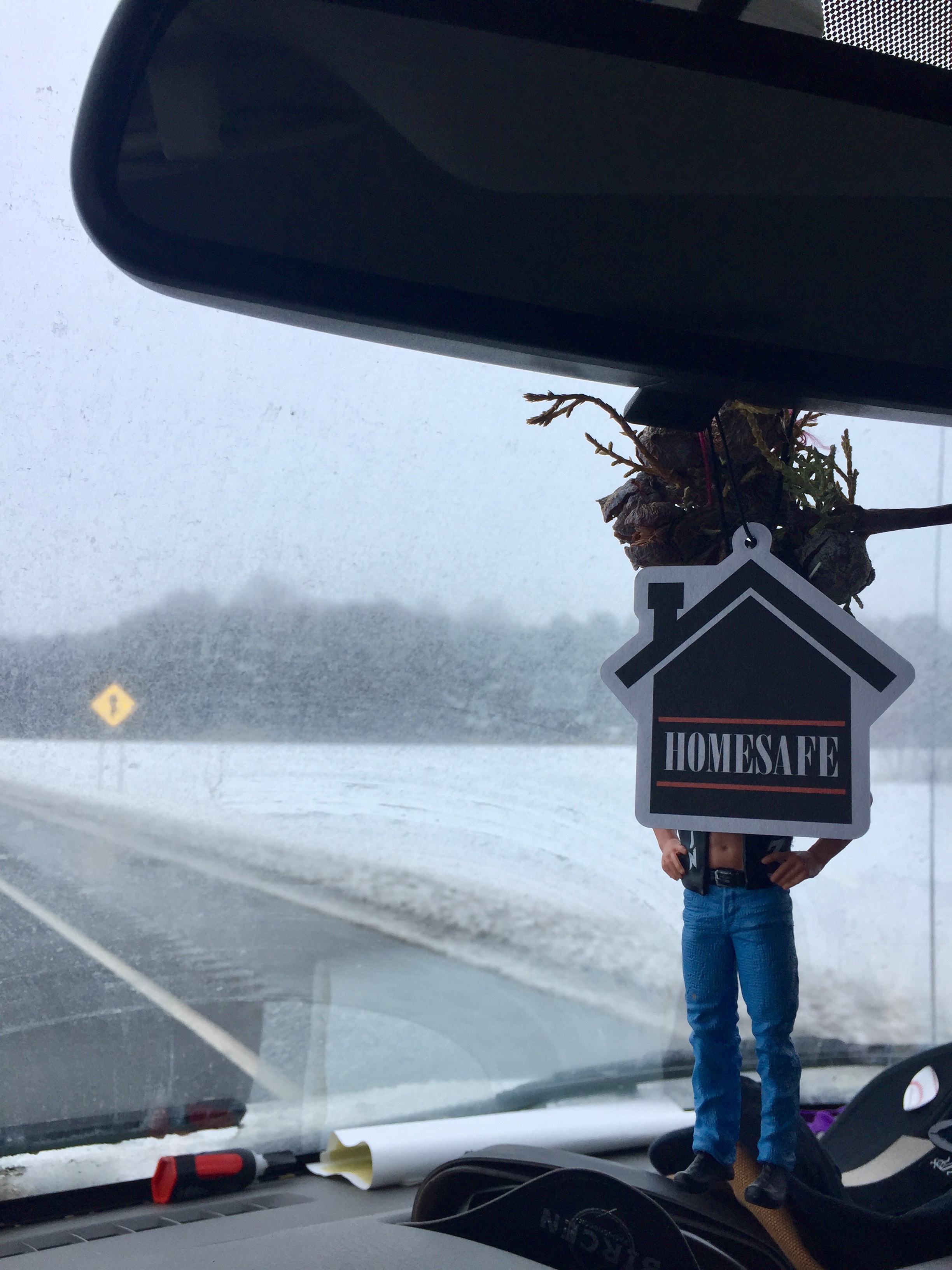Air Freshener (Black Ice Scent) - Homesafe