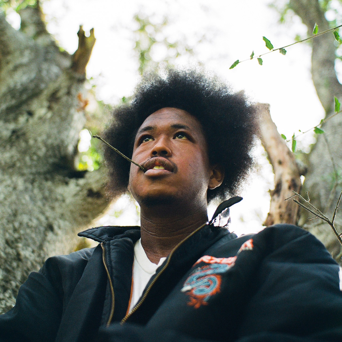 Topshelf Records - Alfred. tour dates, merch, video, catalog & more