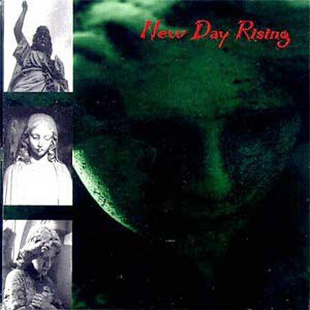 Preserving Hardcore - NEW DAY RISING - Memoirs of Cynicism