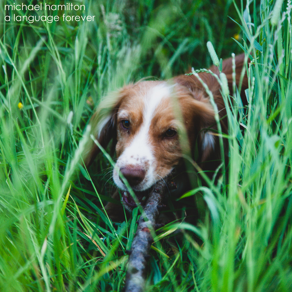 Monotreme Records - Michael Hamilton 'A Language Forever' Digital album