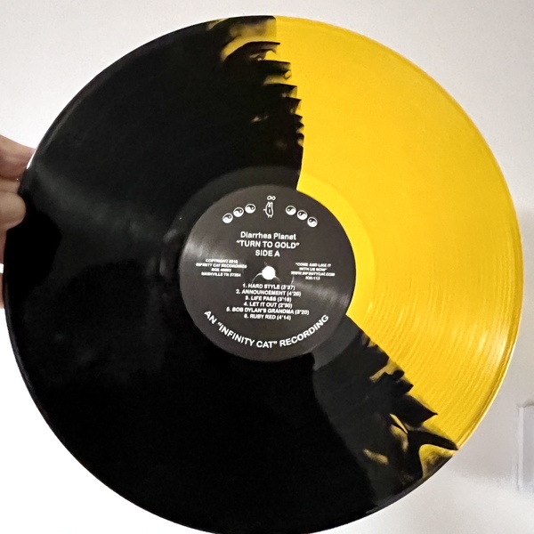 Diarrhea Planet “Turn To Gold” - Infinity Cat